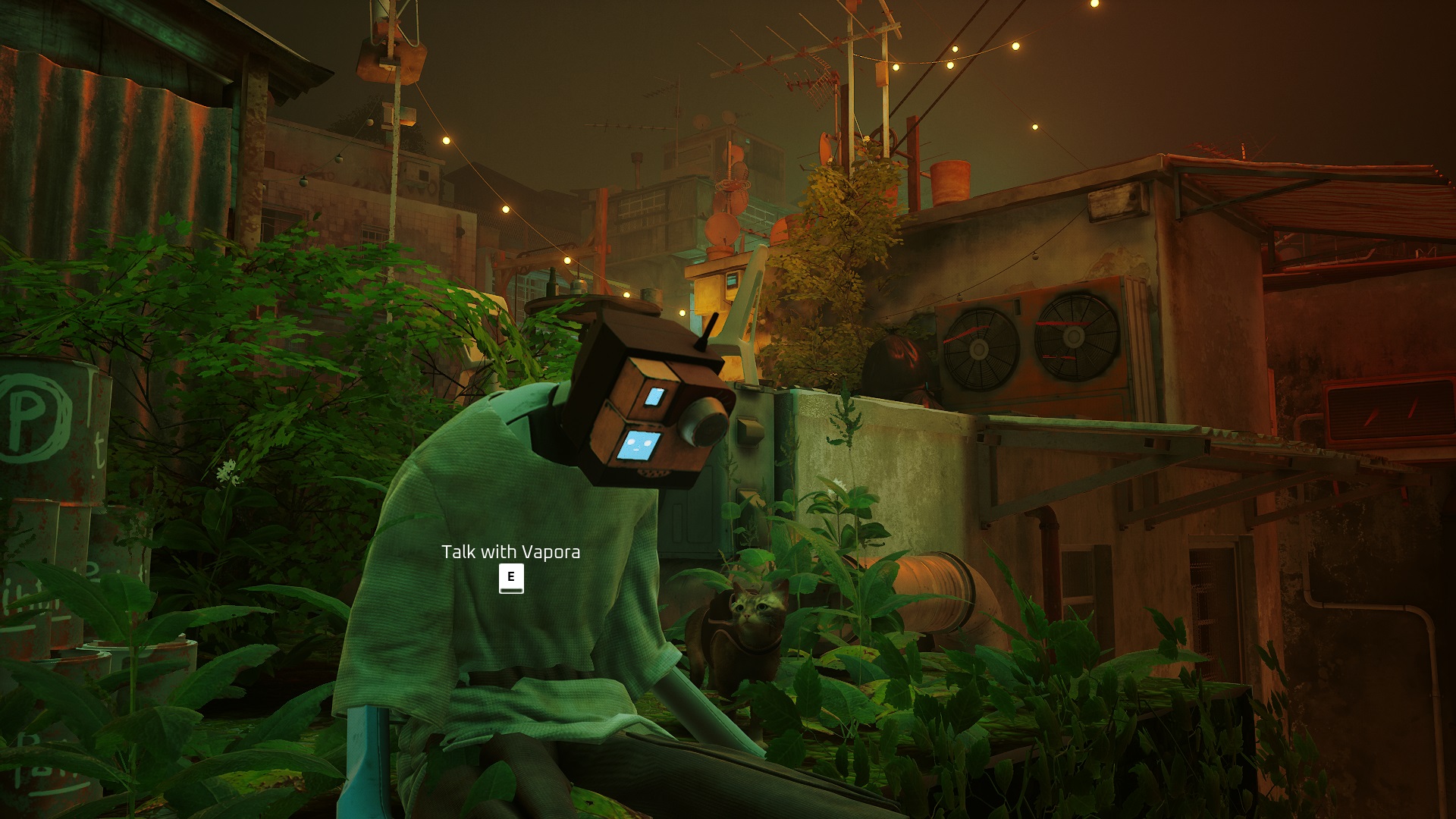 Stray Review: Why This Great Game Starring A Cat Is A Commentary On ...