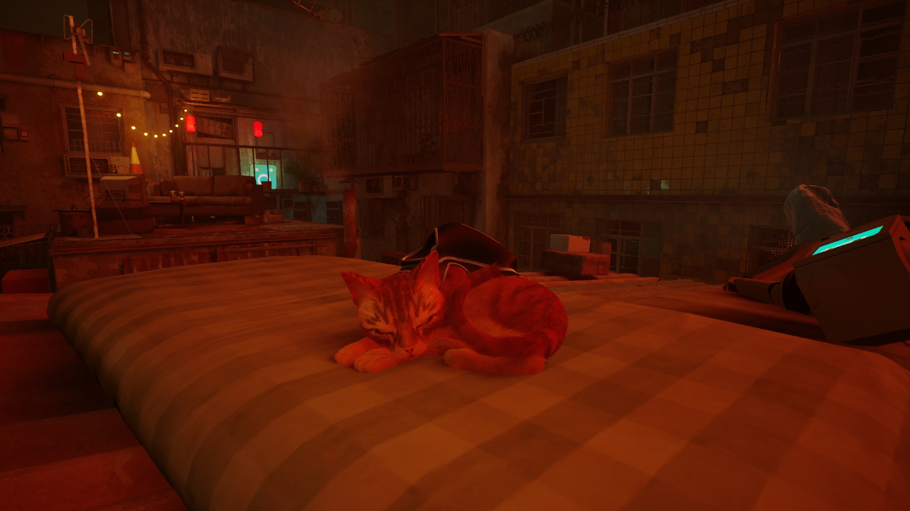 Stray Review: Why This Great Game Starring A Cat Is A Commentary On ...